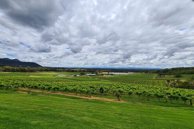 Full Day Private Wine Tour Exclusively Tailored To Suit You - Why Choose This Private Wine Tour?