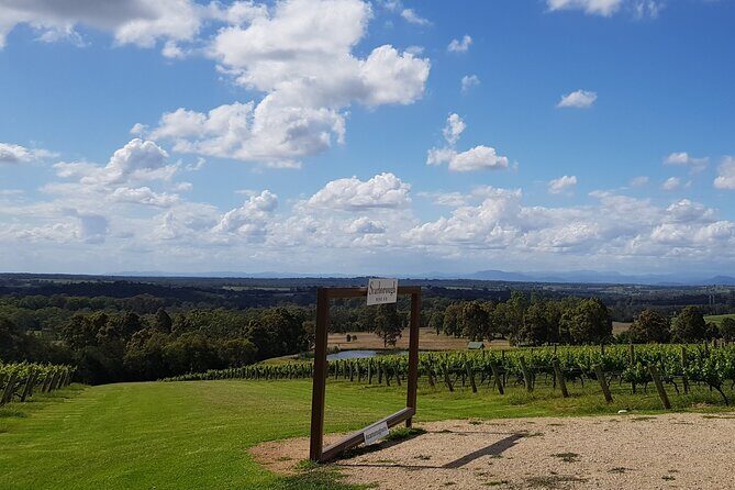 Full Day Private Wine Tour Exclusively Tailored To Suit You - The Sum Up