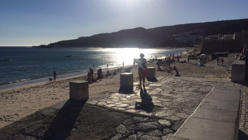 Full Day Private Wine Tour in Arrabida - The Sum Up