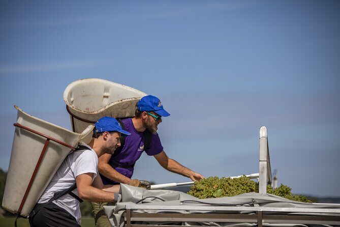 Full-Day Private Wine Tour in Côte de Beaune - FAQ