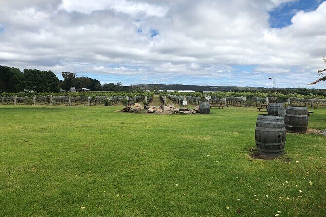Full-Day Private Wine Tour of the Stanthorpe Area with Lunch - Symphony Hill Winery: A Whimsical Barrel Room