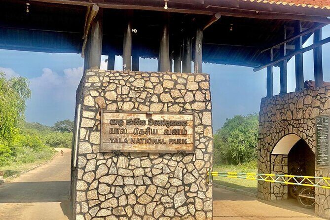 Full Day Private Yala Safari Trip with Lunch - Practical Tips for Making the Most of Your Safari