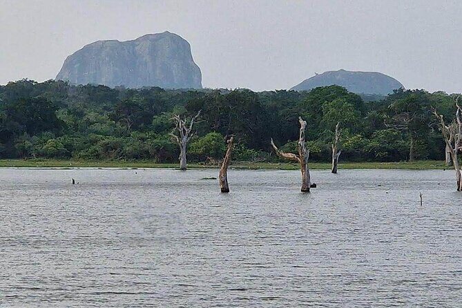 Full Day Private Yala Safari Trip with Lunch - Who Should Consider This Tour?