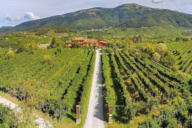 Full-Day Prosecco Tasting - 3 Wineries from Venice or Treviso - The Sum Up