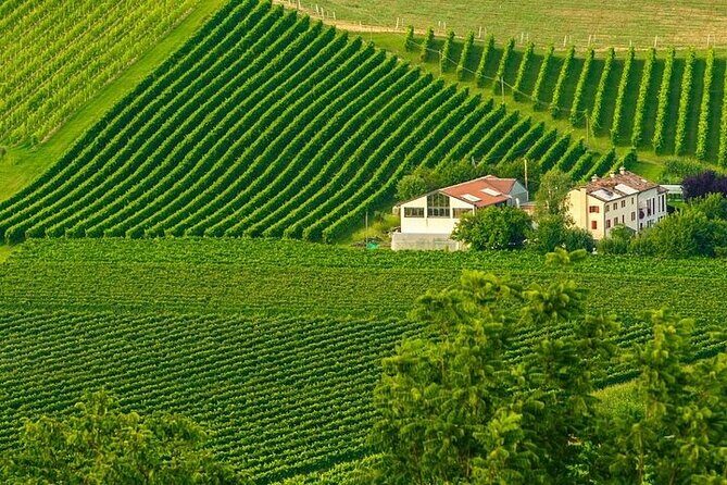 Full-Day Prosecco Tasting - 3 Wineries from Venice or Treviso - Frequently Asked Questions