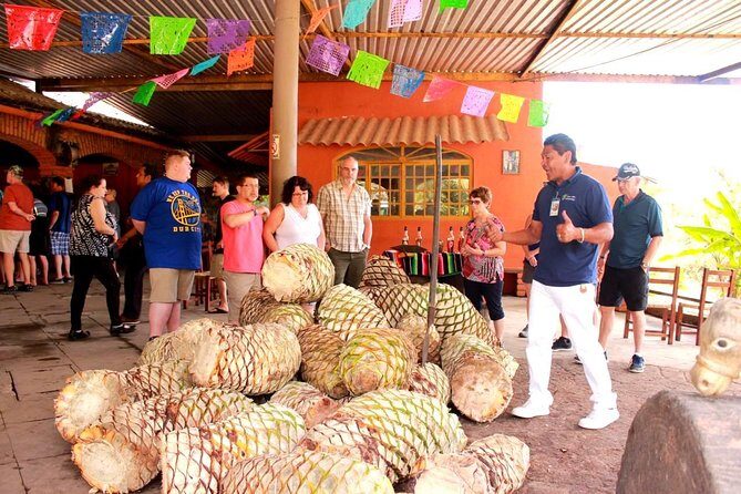 Full-Day Puerto Vallarta City Highlights Tour - Authentic Experiences and Tour Quality