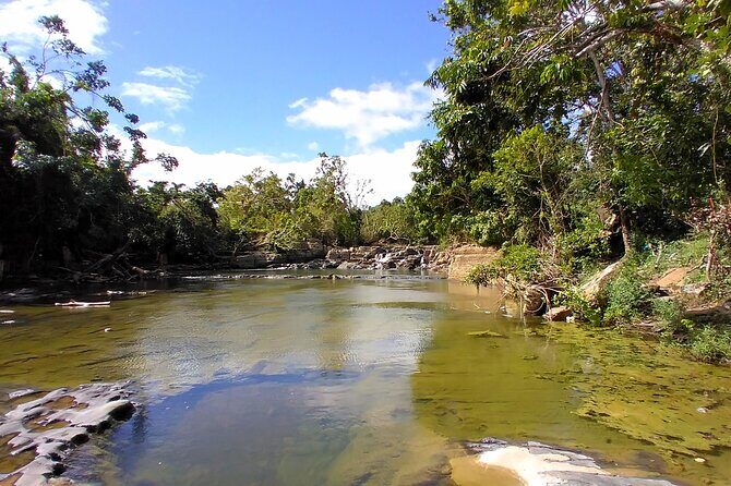 Full Day Punta Cana Safari with Lunch by the River - The Value and Considerations