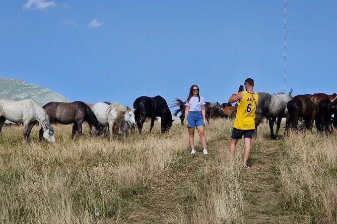 Full-Day Quad and Wild Horses Safari in Livno from Split - FAQ: Your Practical Questions Answered