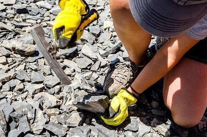 Full Day Quarry Access - Practical Tips for Your Fossil-Hunting Day