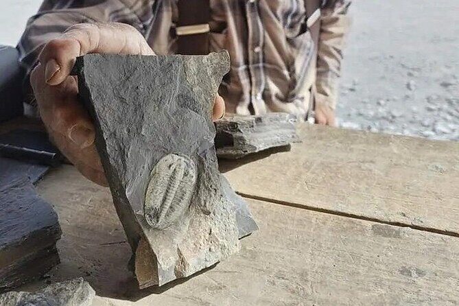 Full Day Quarry Access - Who Should Consider This Tour?