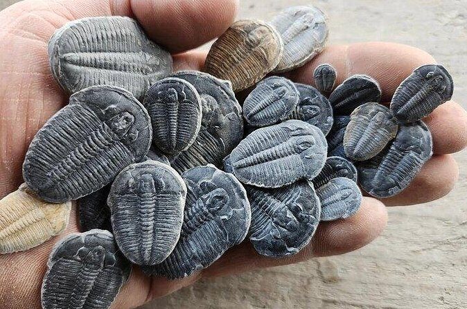 Full Day Quarry Access - FAQ