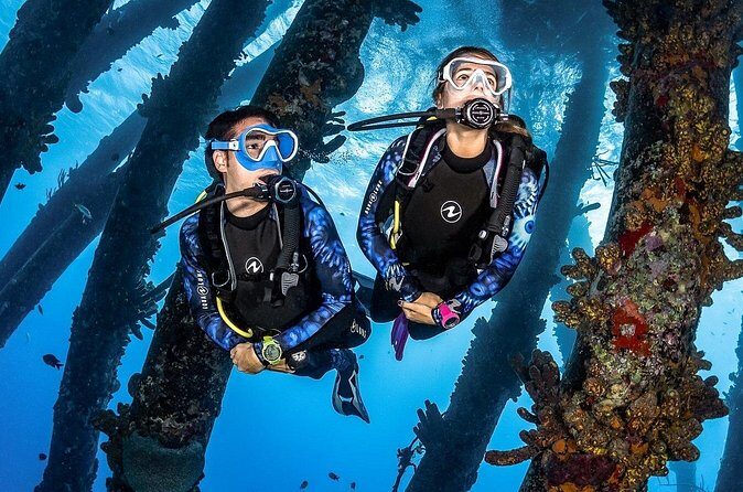 Full Day Racha Yai Scuba Diving from Phuket - Authentic Insights from Reviews