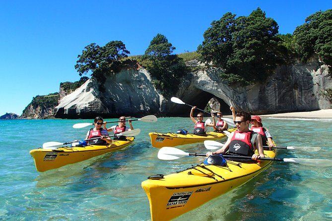 Full-Day Rainforest Getaway in Northland - Key Points