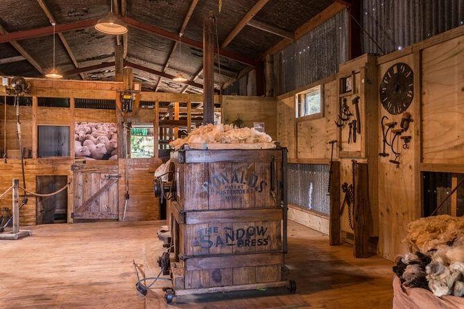 Full-Day Rainforest Getaway in Northland - Who Will Enjoy This Tour?