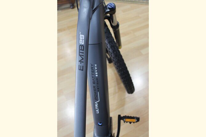 Full Day Rental of Electric Mountain E-Bike - Key Points: