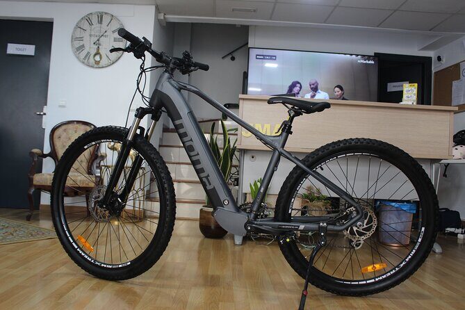 Full Day Rental of Electric Mountain E-Bike - Why Rent an Electric Mountain Bike in Malaga?