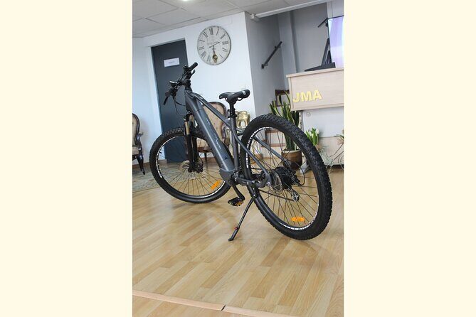Full Day Rental of Electric Mountain E-Bike - Is This Experience Worth It?