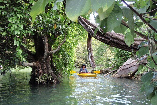 Full Day River Kayaking & Cascades from Port Vila - Detailed Review: What You Can Expect from this Full-Day Tour