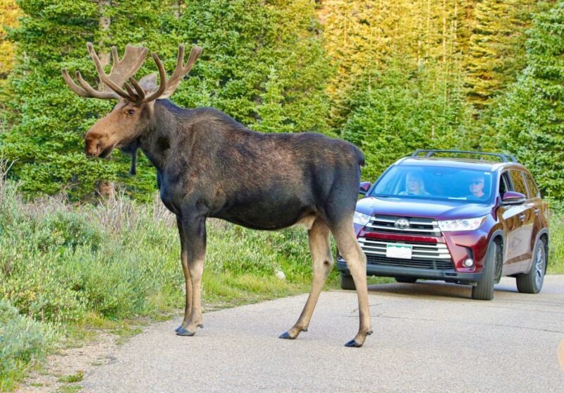 Full-Day RMNP Over the Top Tour - RMNPhotographer - FAQ