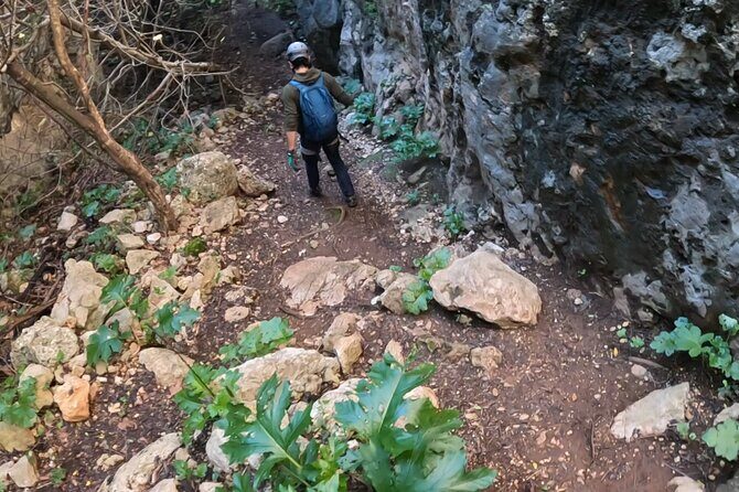 Full Day Rock Climb Adventure Trail from Lisbon with Lunch - Key Points