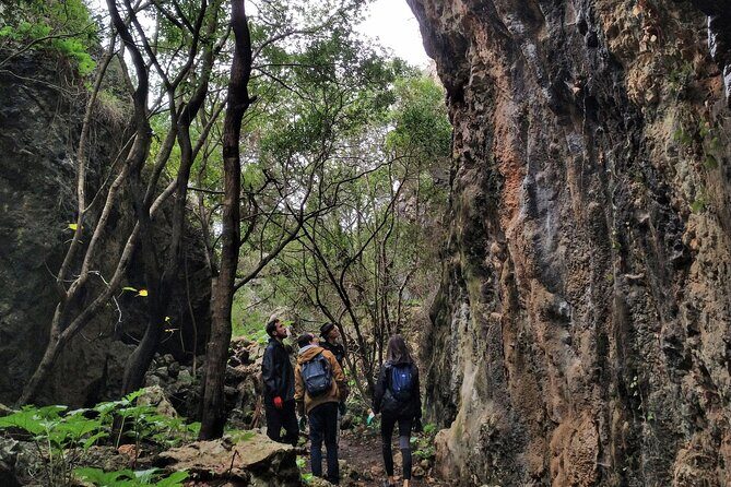 Full Day Rock Climb Adventure Trail from Lisbon with Lunch - What Makes This Tour Special?