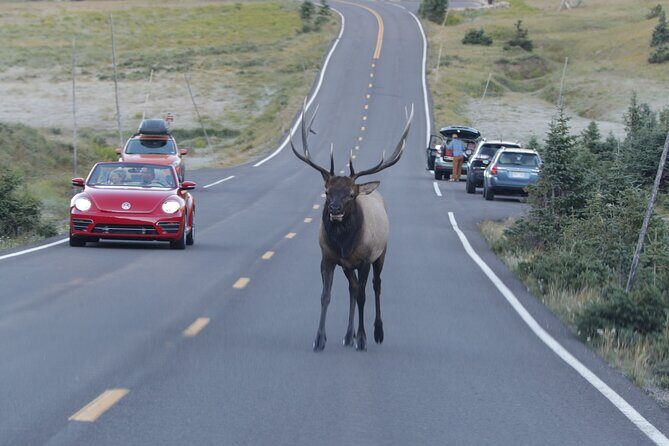 Full-Day Rocky Mountain National Park "Over The Top Tour" - RMNPhotographer - Final Thoughts