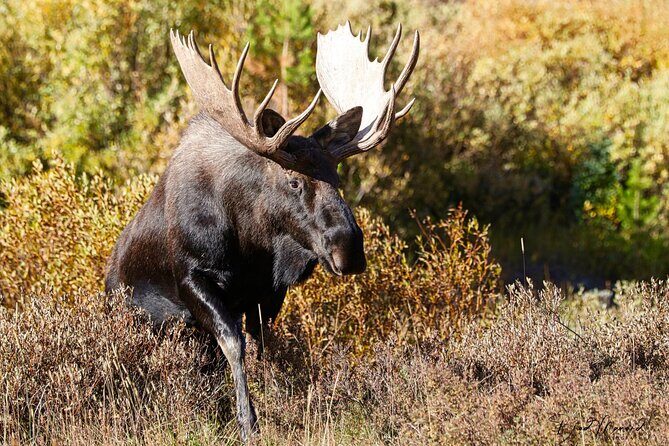 Full-Day Rocky Mountain National Park "Over The Top Tour" - RMNPhotographer - FAQ