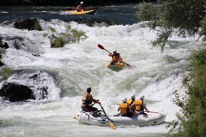 Full Day Rogue River Experience Class (I-IV) - The Value and Logistics