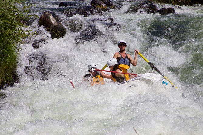 Full Day Rogue River Experience Class (I-IV) - Who Should Consider This Tour?