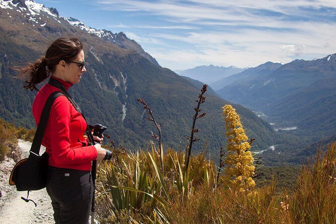 Full-Day Routeburn Track Key Summit Guided Walk from Te Anau - What to Bring and Prepare