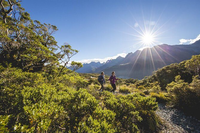 Full-Day Routeburn Track Key Summit Guided Walk from Te Anau - Authentic Feedback from Travelers