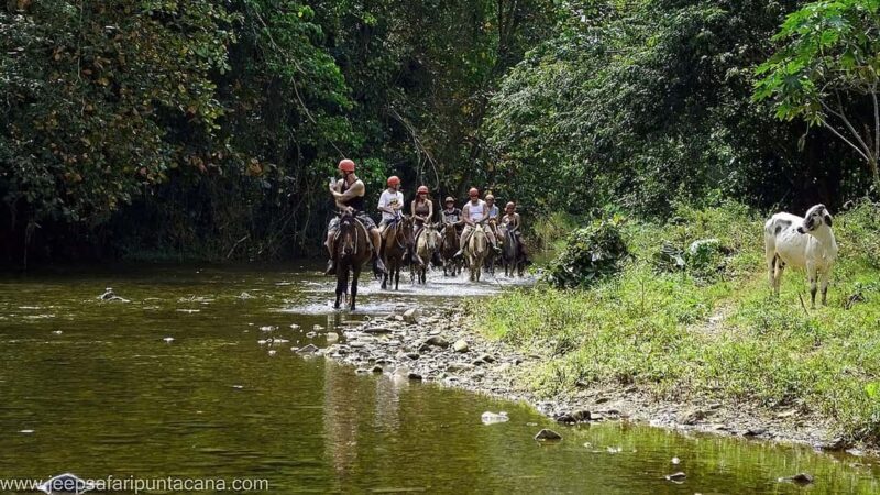 Full-Day Safari Outdoor Adventure in Punta Cana - Authentic Experiences and Authenticity