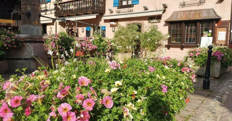 Full Day Safari Tour Villages & Vineyards Wine tasting - The Unique Town Stops and What They Offer