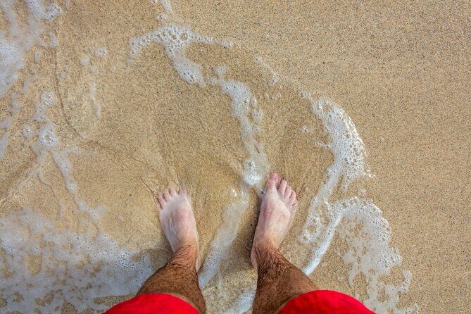 Full Day Safari Tour with Local Touch including Lunch - Summing Up