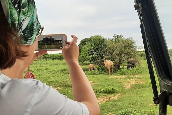 Full Day Safari Tour Yala - Final thoughts