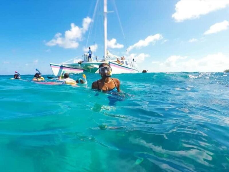 Full Day Sail and Snorkel with Turtles - The Experience: What Makes It Special?