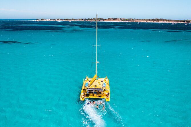 Full Day Sail to Rottnest Island from Fremantle - Itinerary Breakdown: What to Expect