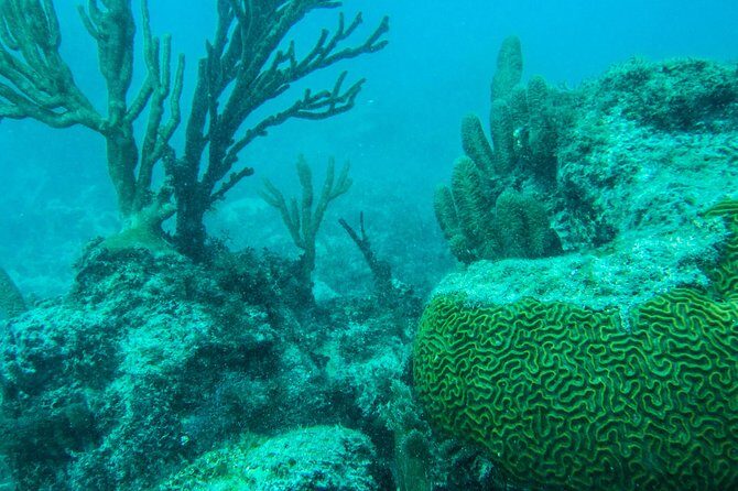 Full-Day Sailing Trip to Mujeres Island from Playa del Carmen - A Detailed Look at the Experience