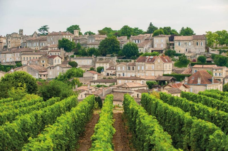 Full-day Saint-Emilion: Village, Undergrounds and Châteaux - An In-Depth Look at the Tour Experience