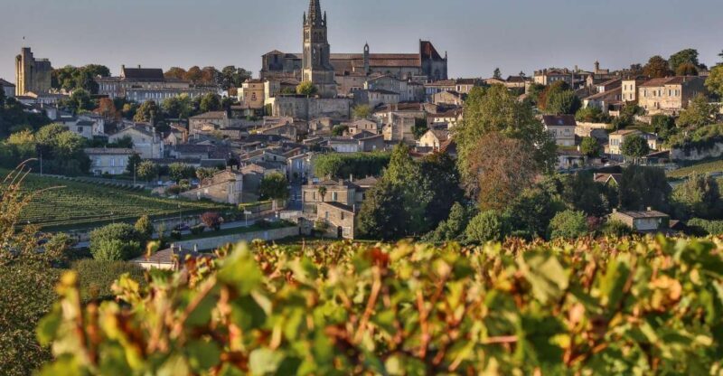 Full-day Saint-Emilion: Village, Undergrounds and Châteaux - Who Will Love This Tour?