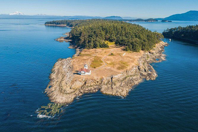 Full Day San Juan Island Kayaking Adventure - What the Guided Kayaking Immerses You In
