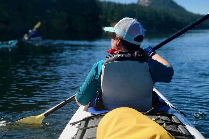 Full Day San Juan Island Kayaking Adventure - What Reviewers Are Saying