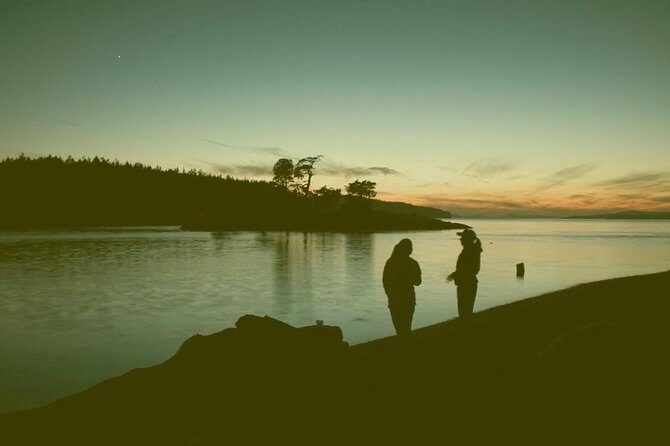 Full Day San Juan Island Kayaking Adventure - Who Is This Tour Best For?