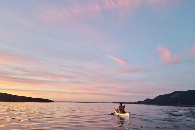 Full Day San Juan Island Kayaking Adventure - Final Thoughts