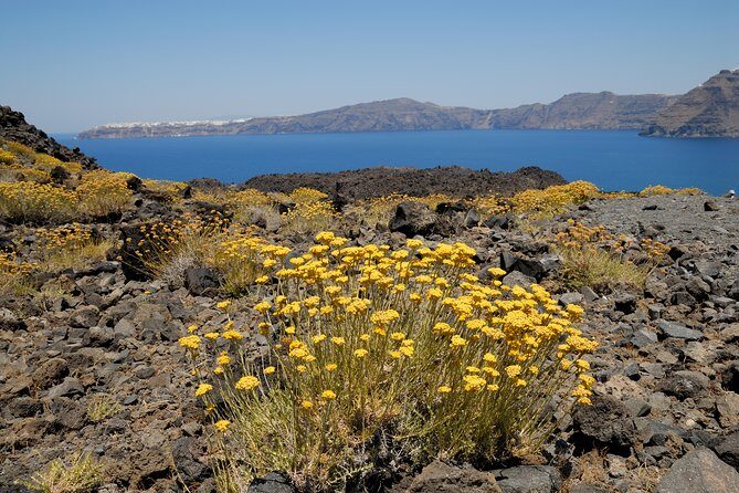 Full Day Santorini Caldera Cruise - Cost versus Experience