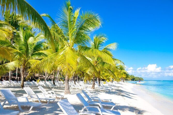 Full-Day Saona Island Escape  Beaches, Adventure, Paradise Vibes - Key Points