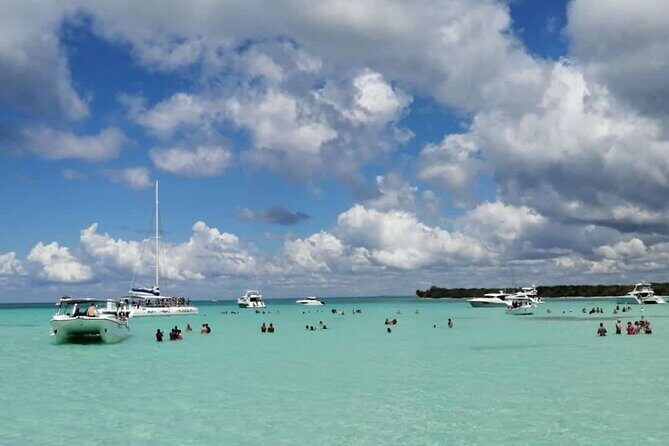 Full-Day Saona Island Escape  Beaches, Adventure, Paradise Vibes - The Value of This Tour