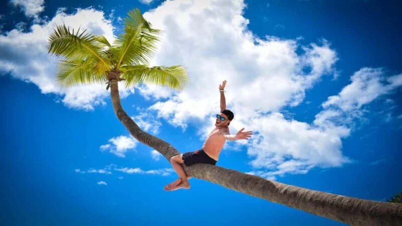 Full-Day Saona Island Excursion with Catamaran Party - An Overview of the Day: What You Can Expect