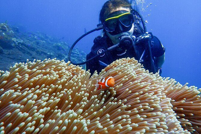 Full-Day Scuba Diving Experience of USAT Liberty in Tulamben - What to Expect from This Full-Day Dive Experience