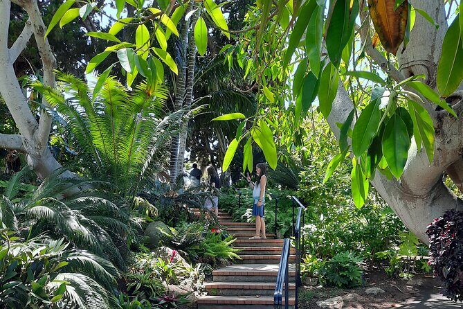 Full-Day Self Guided Electric Bike Tour of North San Diego Coast - Who Will Love This Tour?